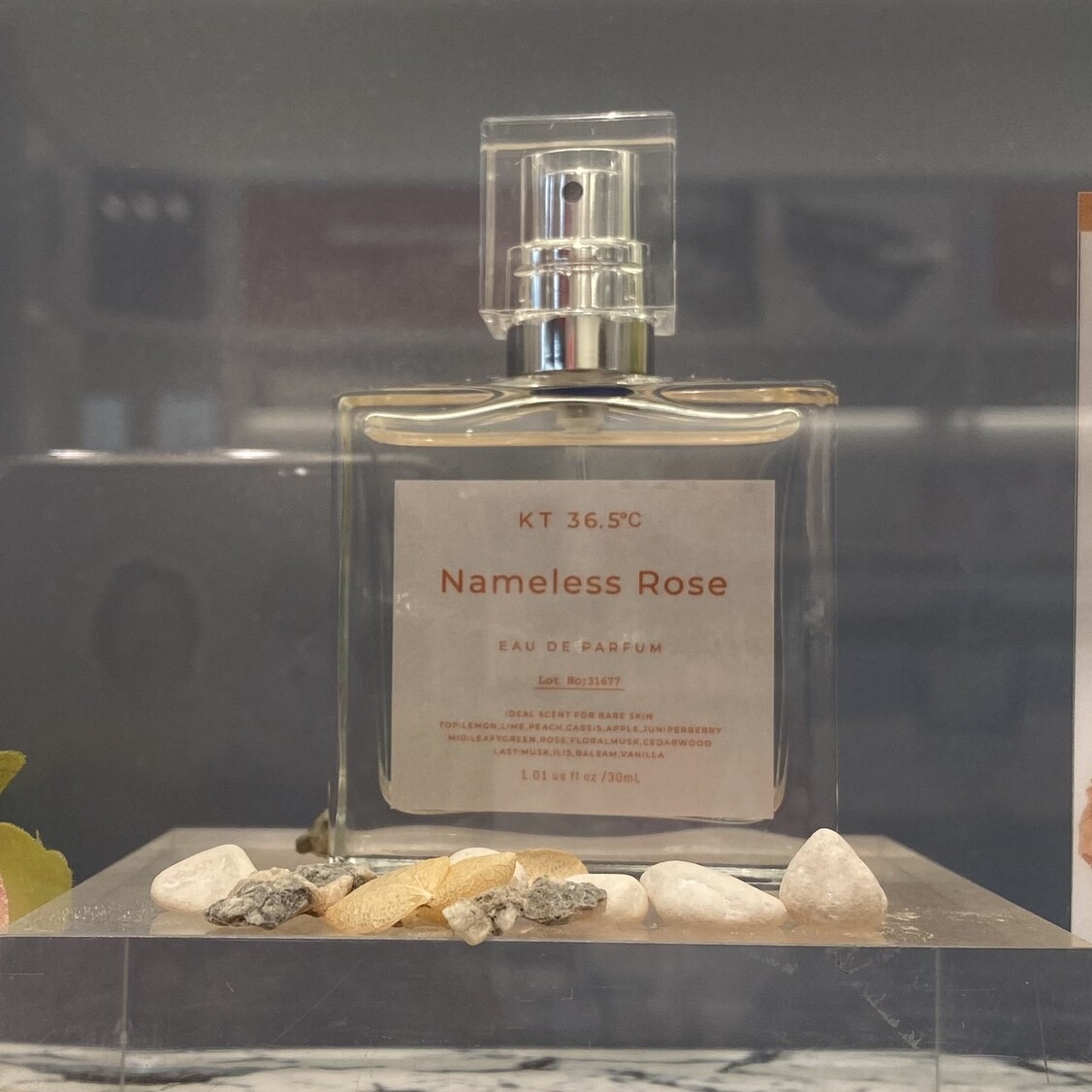 KT36.5℃待望の第三弾🌹凛と爽やかに香るNameless Rose💕｜パフューマジック｜ショップトピックス｜グランベリーパーク